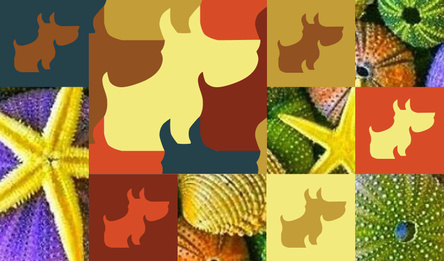 AllWebGames — Page 2