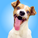 Soundpad: Meme buttons! (by DoubleDTeam): Play Online For Free On ...