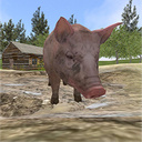 Village Pig Simulator (by MEGA MOZG): Play Online For Free On AllWebGames