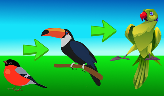 Cute Birds: Clicker! (by citrus blot): Play Online For Free On AllWebGames