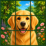 Picture Flow: Play Online For Free On AllWebGames