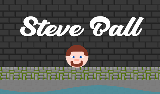 Steve Ball (by FaBuKaStudio): Play Online For Free On AllWebGames