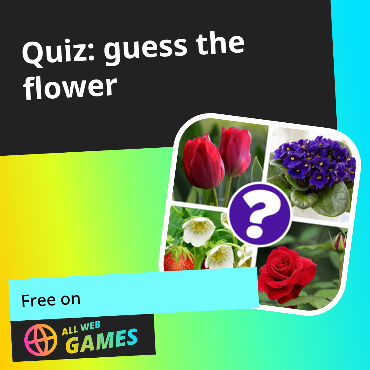 Quiz: guess the flower: Play Online For Free On AllWebGames